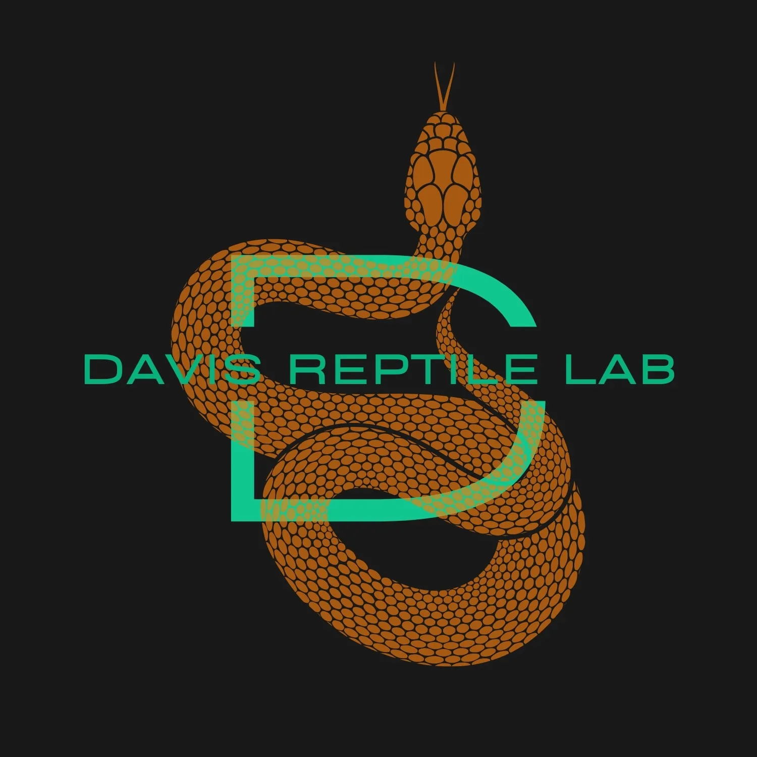Davis Reptile Lab, LLC's Collection - MorphMarket